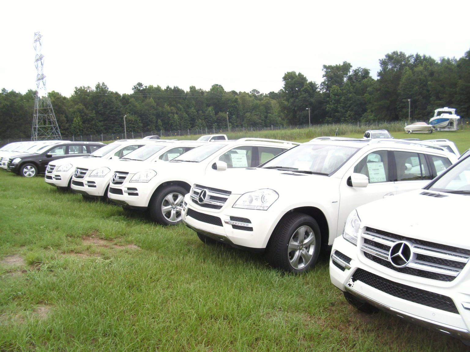 Cargo Group Warehousing & Logistics | Serving the Port of Savannah, GA